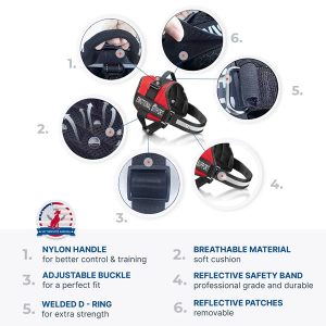 Service Dog Leash & Support Animal Leash | Order Online