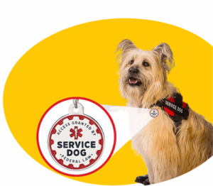 Buy Service Dog Tag & Emotional Support Tag Online in USA