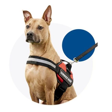 Service Animal Vest — Durable, No-Pull, Reflective Jacket 🐕‍🦺