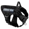 Service Dog Leash & Support Animal Leash | Order Online