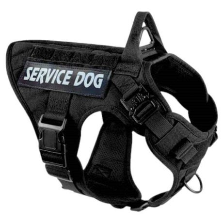 Service Dog Leash & Support Animal Leash | Order Online