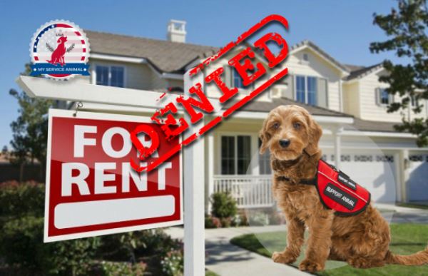 Can A Landlord Deny Your Emotional Support Dog MyServiceAnimal