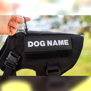Emotional Support Animal Full KIT ESA Registration Bundle