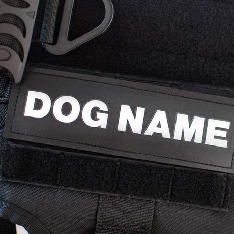 Emotional Support Animal Full KIT ESA Registration Bundle